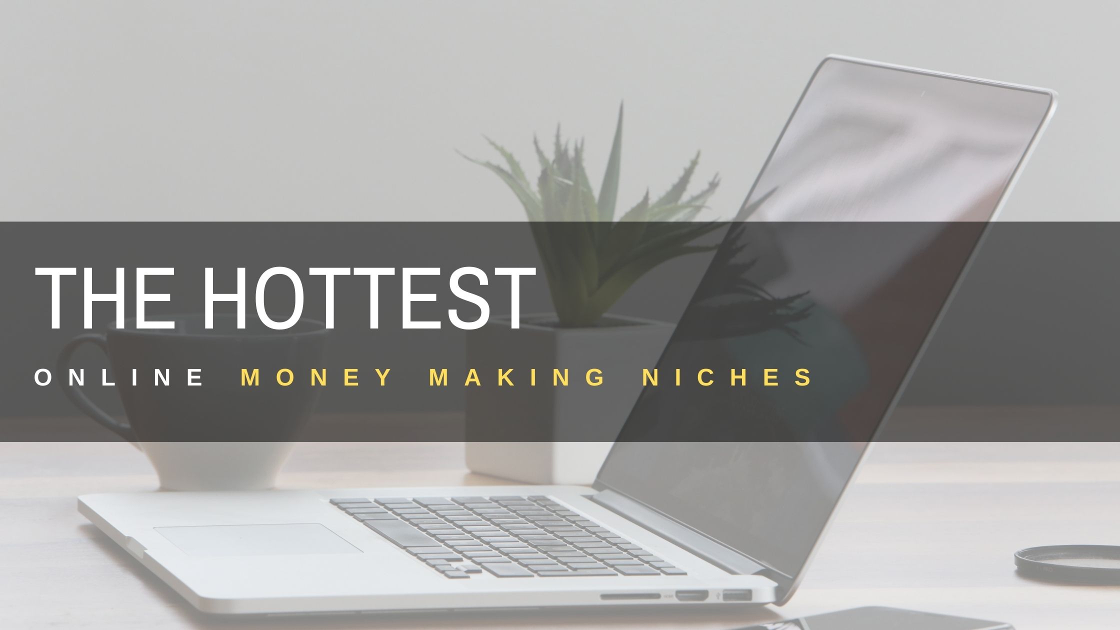 The Hottest Online Money Making Niches